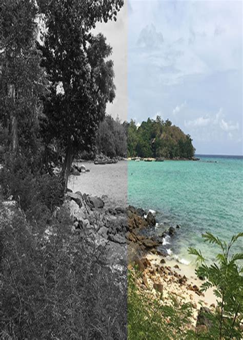 Html Und Css Prototyping In Codepen Io Mit Emmet Adfreak