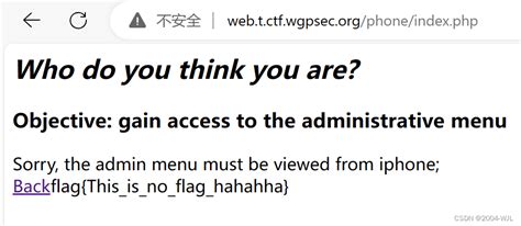 Wgpsec Ctf Web部分wpwgpsec最简单的flag Csdn博客