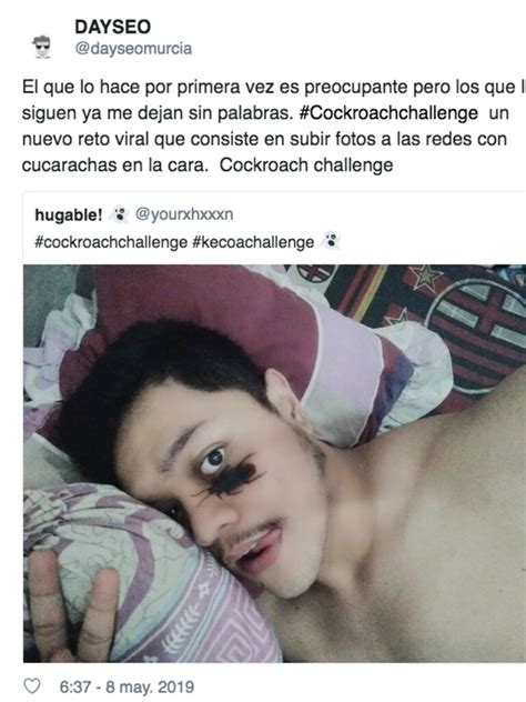 Selfies Con Cucarachas El Challenge Tan Repugnante Como Para No Volverse Popular Infobae
