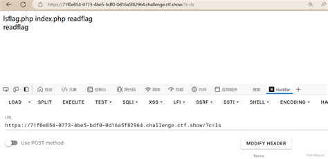 Ctfshow Web入门 命令执行（web53 Web55）ctfshow Web55 Csdn博客