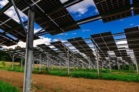 CULTIVOS AGROVOLTAICOS Paneles Solares Y Agricultura