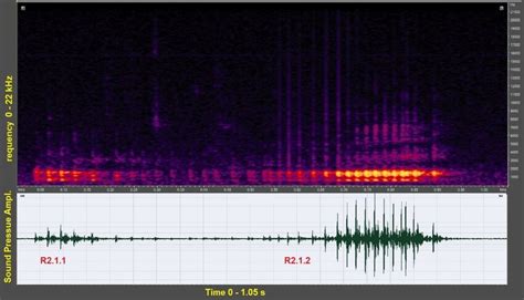 Recording Spectrogram And Time Display Of Recording R Time Scale