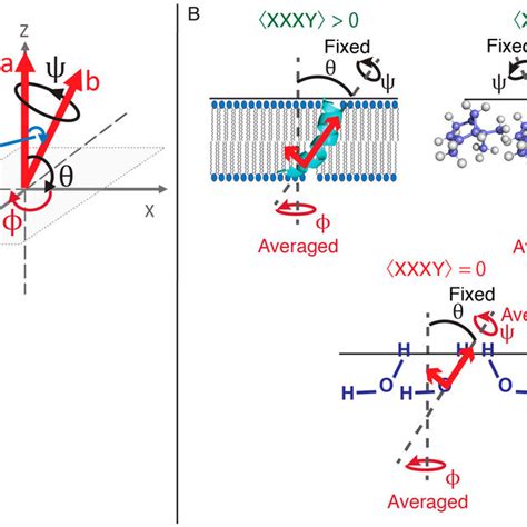 a schematic of the orientation of two coupled oscillators a and b