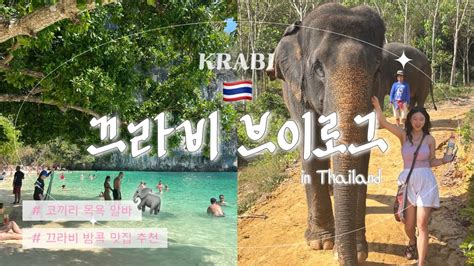 🇹🇭태국 끄라비 브이로그👙 ㅣ 낭만치사량🐘🐒 초과 여행ㅣ 방콕 한스푼🍉ㅣ꽉 채운 3박 5일을 즐겨봐요ㅣ라일레이ㅣ홍섬투어는