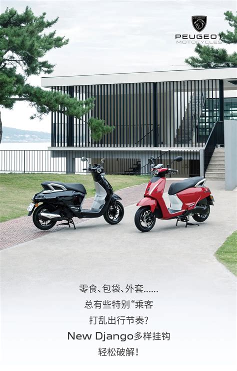 标致new Django多样挂钩，轻松破解困扰踏板摩托车导购摩信网
