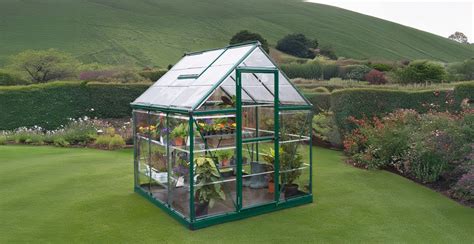 Understanding The Disease Process What Is A Disease Process Euronews