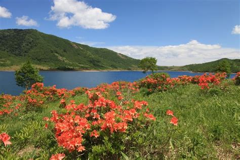 標高1500m山々に囲まれた天空の湖野反湖 and trip たびびと