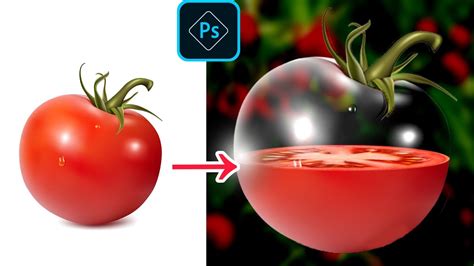 Tomato Manipulating Image In Photoshop Tutorials Photoshop Tutorials