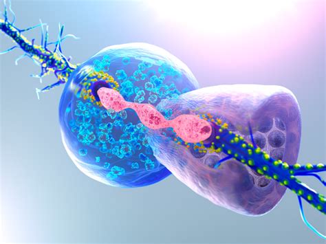 多发性骨髓瘤诊断标准 骨髓瘤常识 骨髓瘤 肿瘤疾病大全 癌症肿瘤科普知识 有来医生