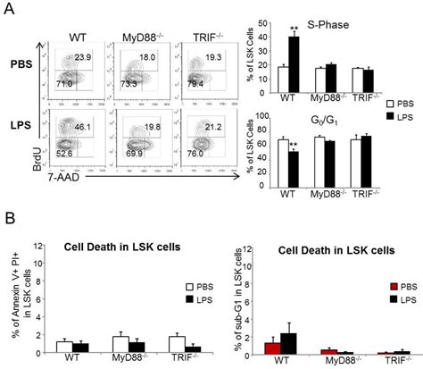 Figure 3 4 From Functional Role Of The Tlr4 Signaling Pathway In The Bone Marrow Response To