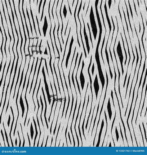 Seamless Zebra Fur Pattern Stock Illustration Illustration Of Jungle