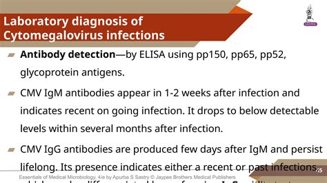 Congenital Infections Microbiology Pptx