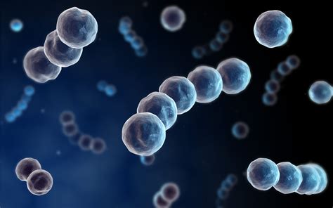 嘉兴科见生物技术有限公司