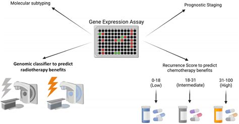 Schematic Illustrating The Use Of A Generic Genomic Assay To Help With