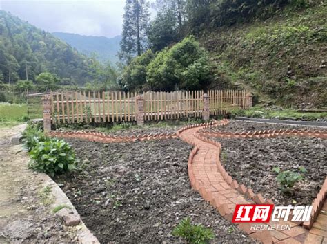 通道：“小亮点”凝聚“大色彩”，绘就美丽乡村新画卷怀化湖南频道红网