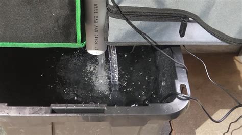 Thoughts On My Home Made Rdwc System R Hydroponics