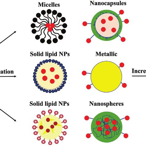 Encapsulation Of Antioxidants In Different Nanocarriers Offers Several Download Scientific