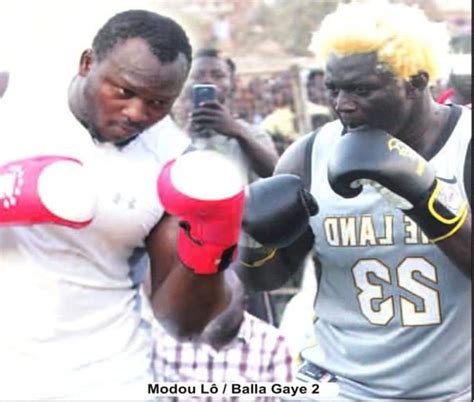Balla Gaye Modou Lô nosera jamais mattaquer ni se bagarrer contre moi Senegal