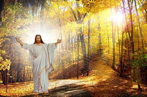 Jesus Christ Light Of The World Risen Christ Jesus God Hd
