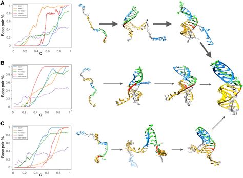 Rna Folding Pathways From All Atom Simulations With A Variationally Improved History Dependent