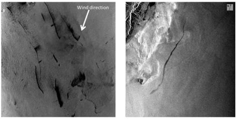Remote Sensing Special Issue Statistical And Machine Learning Models For Remote Sensing Data