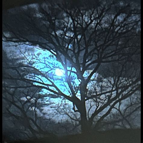 Moonsongrorsharch By Forlorn Ep Atmospheric Black Metal Reviews Ratings Credits Song