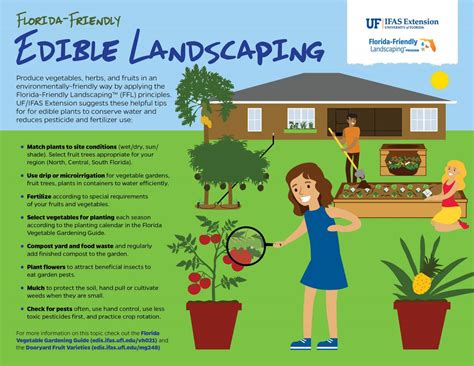 Florida Friendly Edible Landscaping Ufifas Extension Orange County