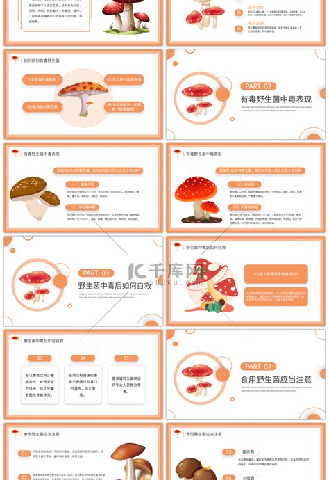 橙色简约预防野生菌中毒安全饮食卫生校园知识pptppt模板免费下载 Ppt模板 千库网
