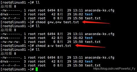 Linux文件的权限chmod、chown、umask一文件基本权限 Chmod、chown、umask Csdn博客