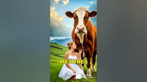 Las Vacas Tienen Mejores Amigas Youtube