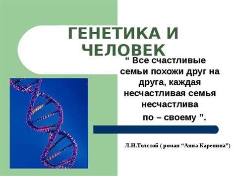Генетика 11 класс биология презентация