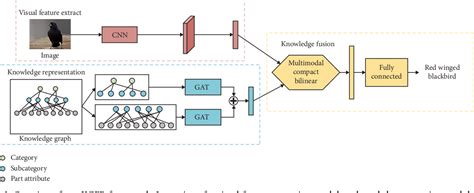 Unsupervised Template Learning For Fine Grained Object Recognition At