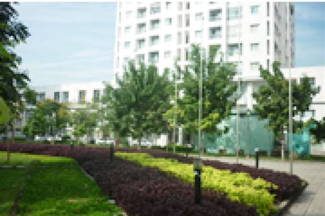 Xây dựng công trình dân dụng chuyên nghiệp giao thông
