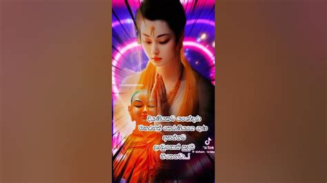 පින්වත් කාන්තාවෝ දකිත්වා Youtube