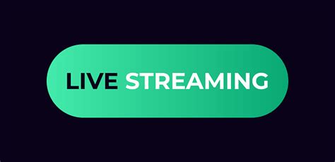 게임 프레임 스트림 오버레이 배너 버튼 Ui 템플릿 미래 지향적 인 라이브 인터페이스 격리된 스트리밍 쇼 그래픽 벡터 정사각형 디지털 요소 0명에 대한 스톡 벡터 아트 및