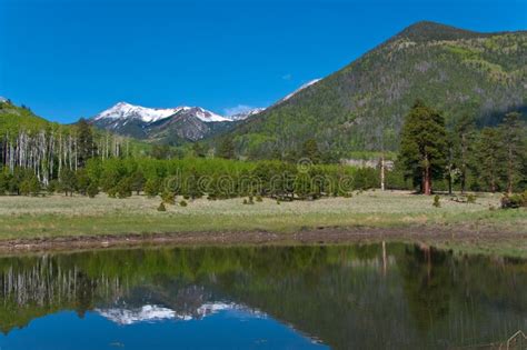 Lockett Meadow Picture Image 87313521