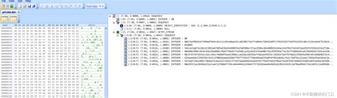 基于asn1的rsa算法公私钥存储格式解读c语言解析asn1数据拿到公私秘钥 Csdn博客