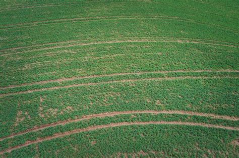 Horizontal Background Of A Green Grassy Field With Abstract Tractor