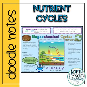 Nutrient Cycle Doodle Notes By North2South Teaching TPT