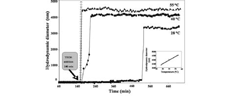 Evolution Of The Hydrodynamic Diameter D H As A Function Of Time At