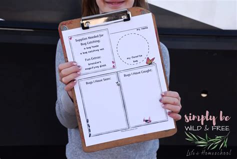 Printable Bug Catching Worksheet