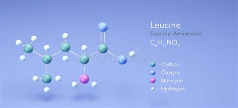 Leucine Essential Amino Acid Molecular Structures 3d Rendering