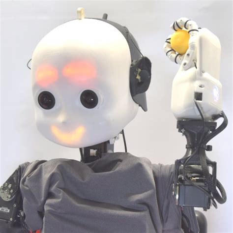 The Nico Robot Is Shaking A Plastic Capsule To Learn About Its Content Download Scientific