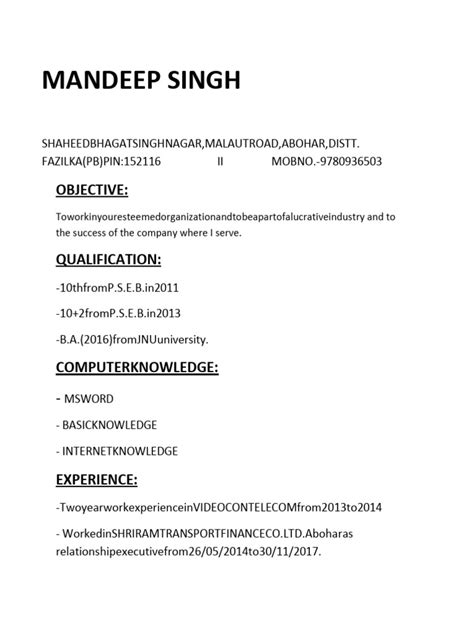 Mandeep Singhs Professional Resume Pdf