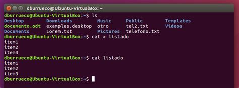 cat interactive chaos