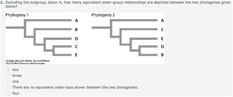 Solved 1 Excluding The Outgroup Taxon A How Many Chegg