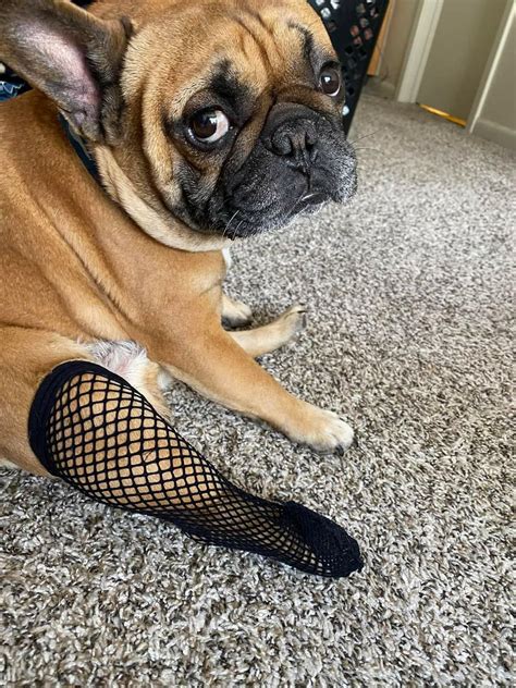 Does This Count As Fancy Feet Rfancyfeet