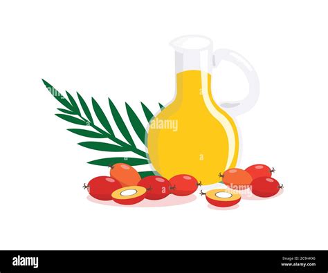 Oil Palm Fruits Harvest Stock Vector Images Alamy