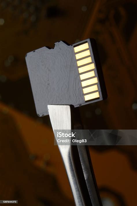 핀셋으로 고정된 마이크로 회로의 배경에 대한 Micro Sd 메모리 카드를 클로즈업합니다 0명에 대한 스톡 사진 및 기타 이미지