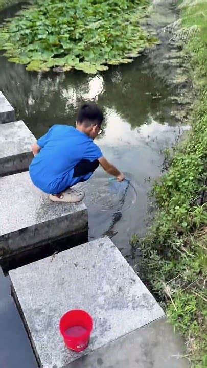 Love Song Hindisong China Lifeisbutadream Yoga Travel Motivation Shorts Uttarakhand